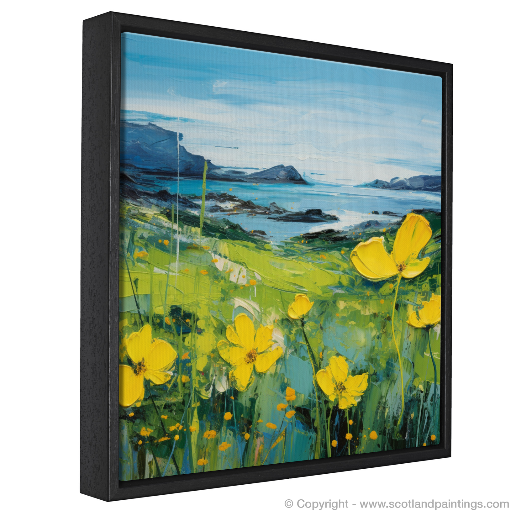 Wild Primrose Dance of Argyll and Bute – Scotland Paintings and Art Prints