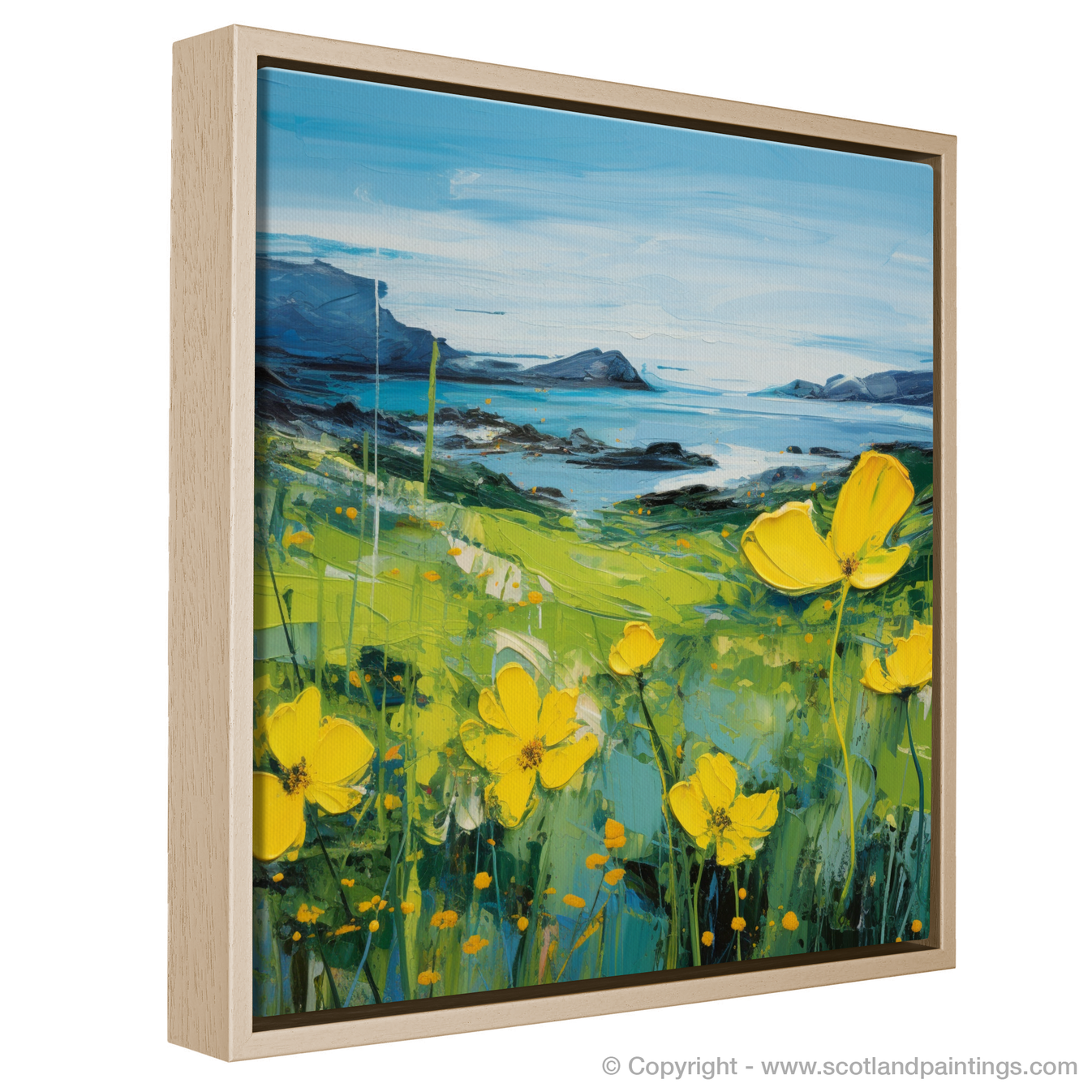 Wild Primrose Dance of Argyll and Bute – Scotland Paintings and Art Prints