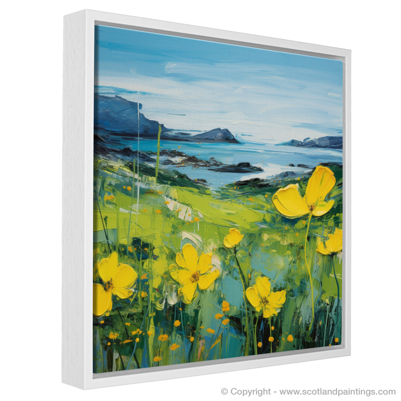 Wild Primrose Dance of Argyll and Bute – Scotland Paintings and Art Prints