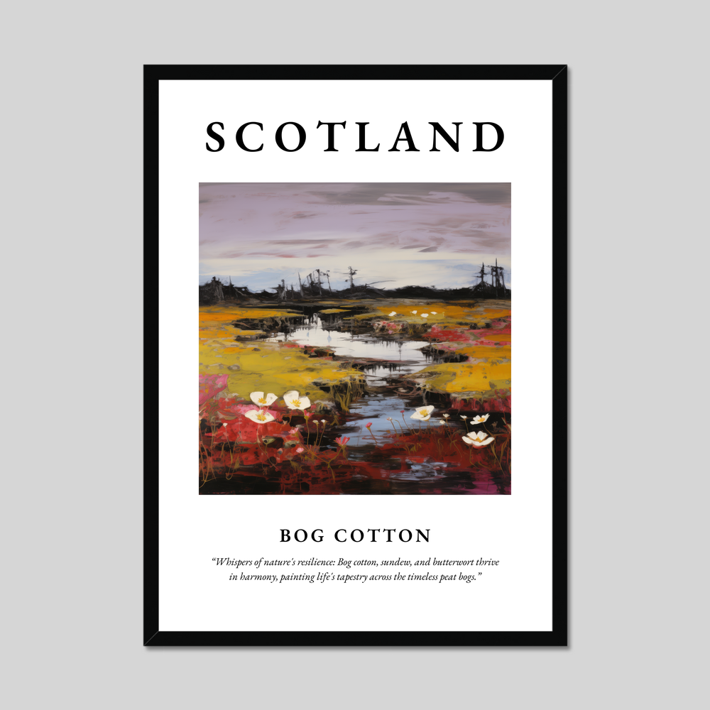 Bog cotton - Framed Poster Print – Scotland Paintings and Art Prints