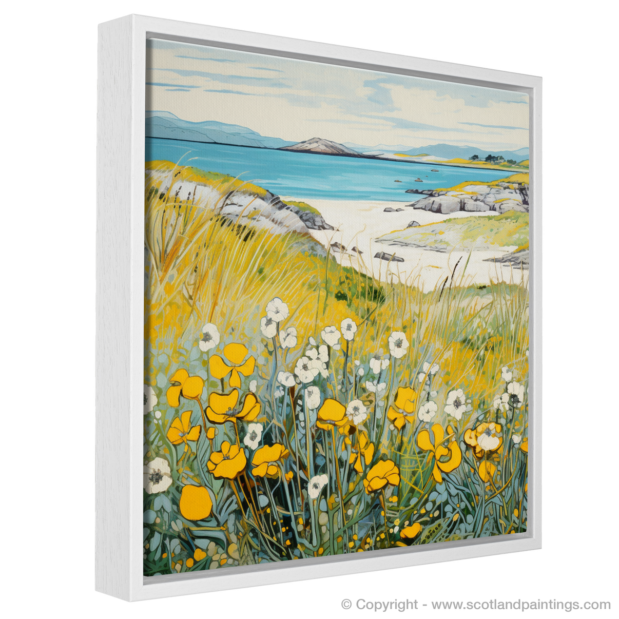 Machair Blooms: Lady's Bedstraw in Barra – Scotland Paintings and Art ...