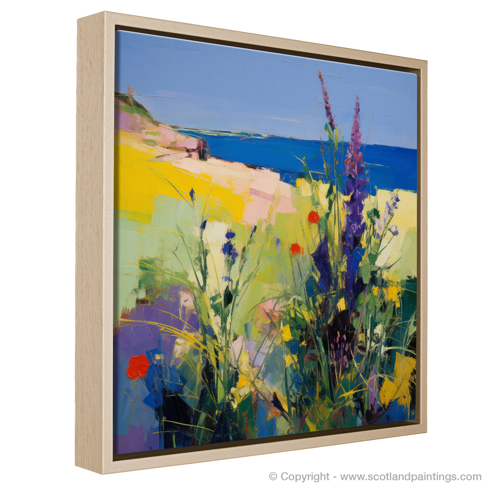 Coastal Embrace: Viper's Bugloss in East Lothian's Windswept Beauty ...