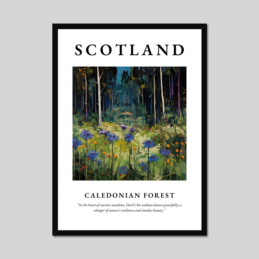 Caledonian Forest - Framed Poster Print – Scotland Paintings and Art Prints