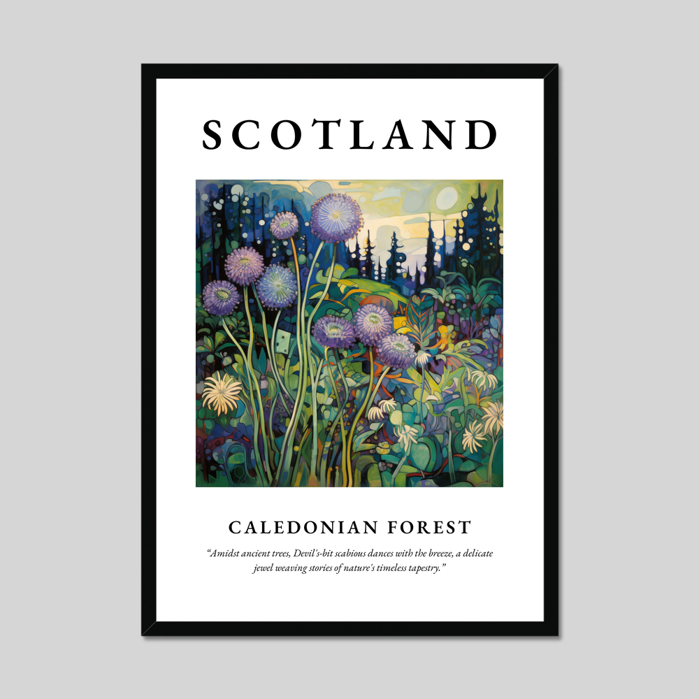 Caledonian Forest - Framed Poster Print – Scotland Paintings and Art Prints