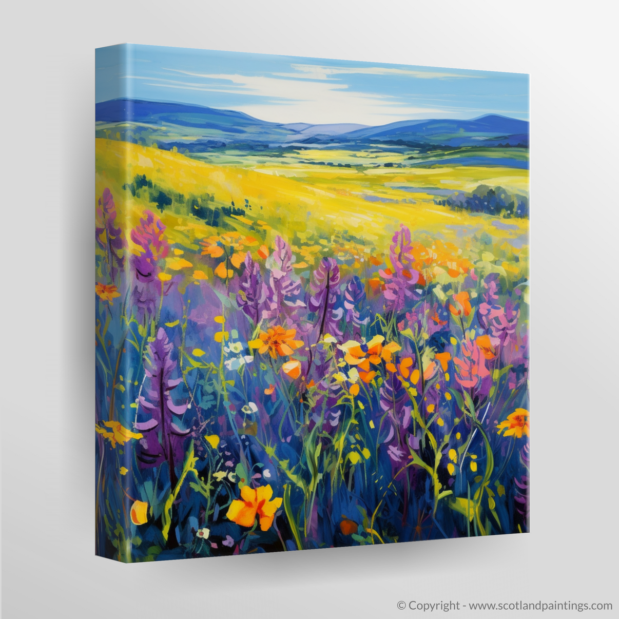 Wildflower Rhapsody: A Scottish Meadow in Fauvist Hues – Scotland ...